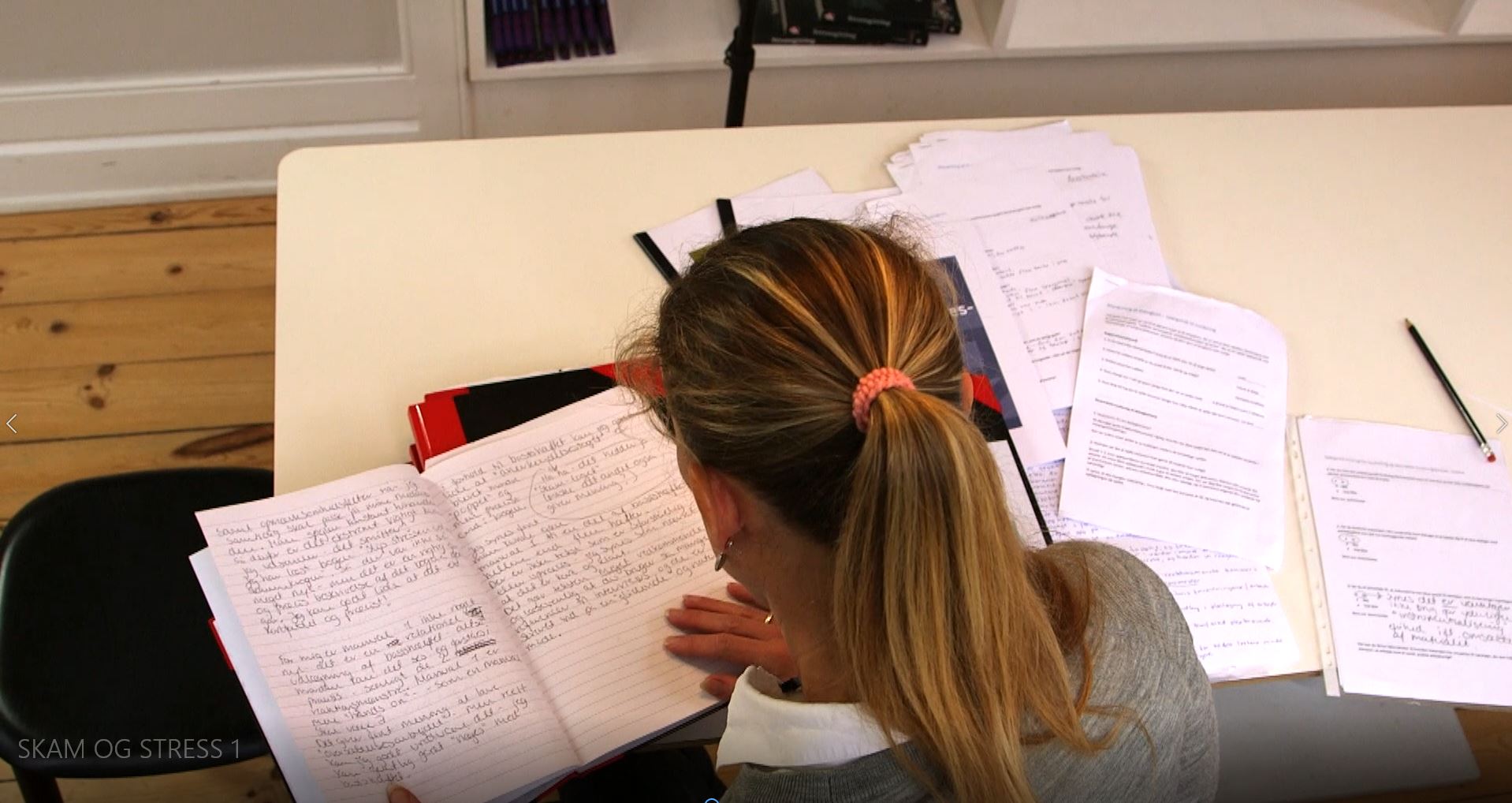 Pernille Steen Pedersens forskning i stress og skam