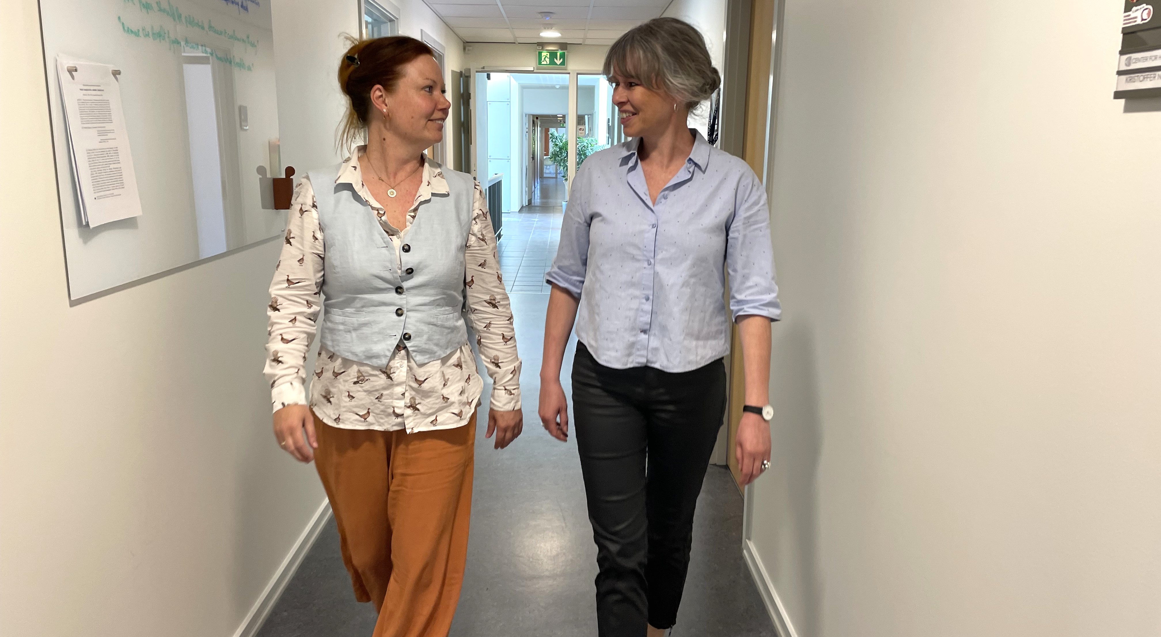 God ledelse af karrierelæring i skolen. Se de 5 kendetegn | VPT