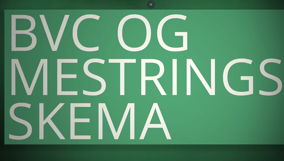 BVC/Mestringsskema | VPT